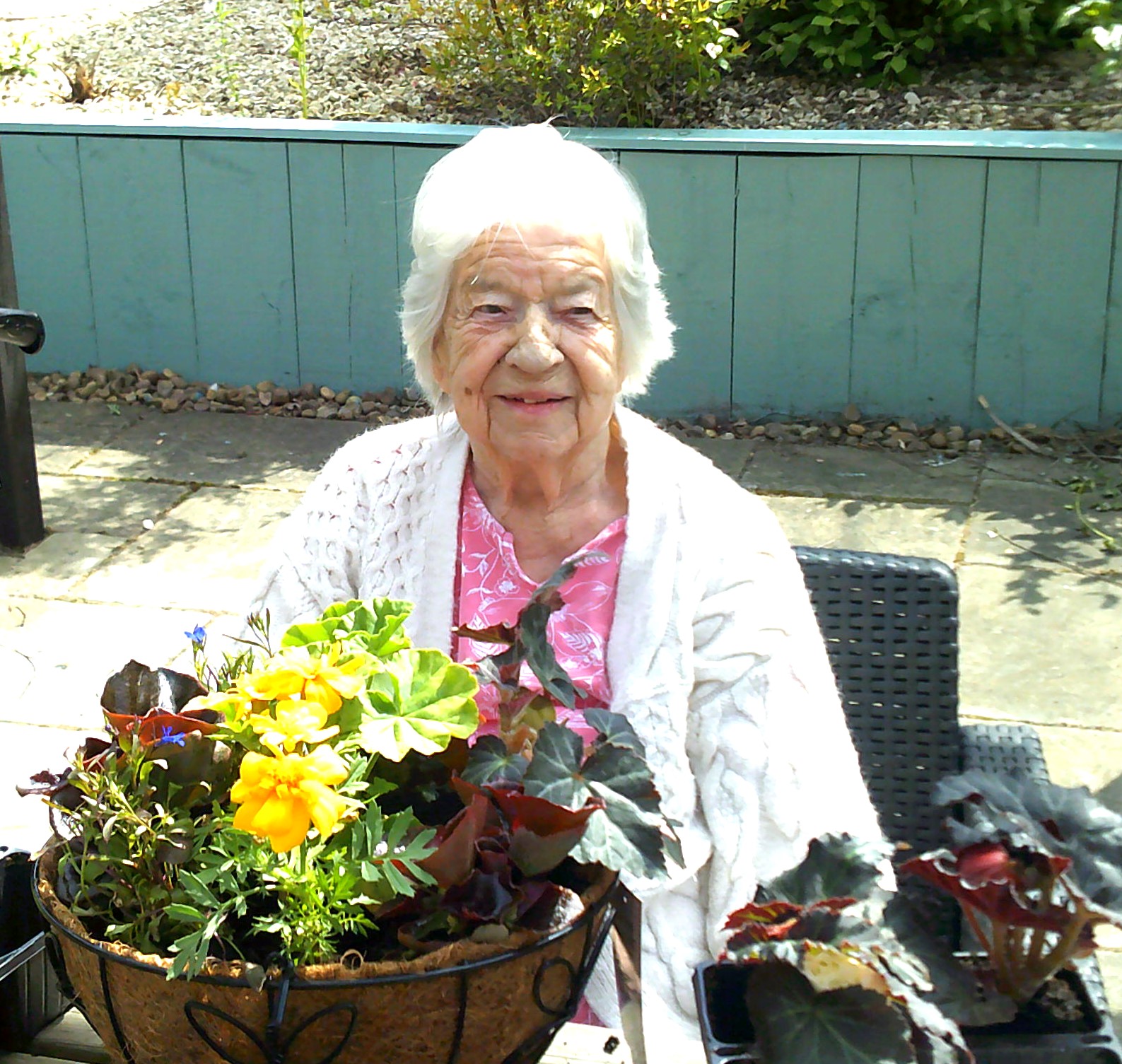 Seale Pastures | Akari Care