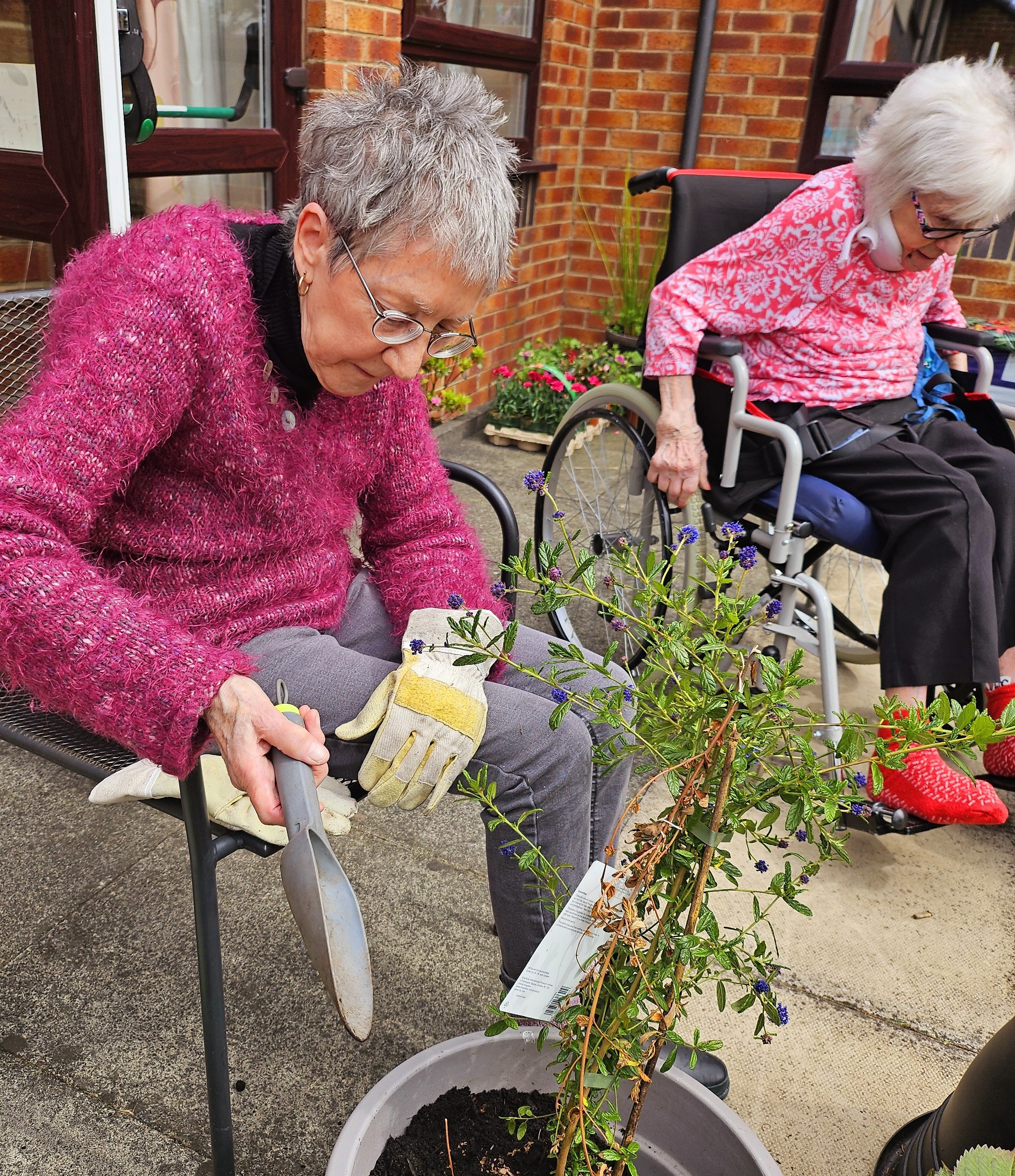 Wheatfield Court Care Home | Akari Care | Newcastle